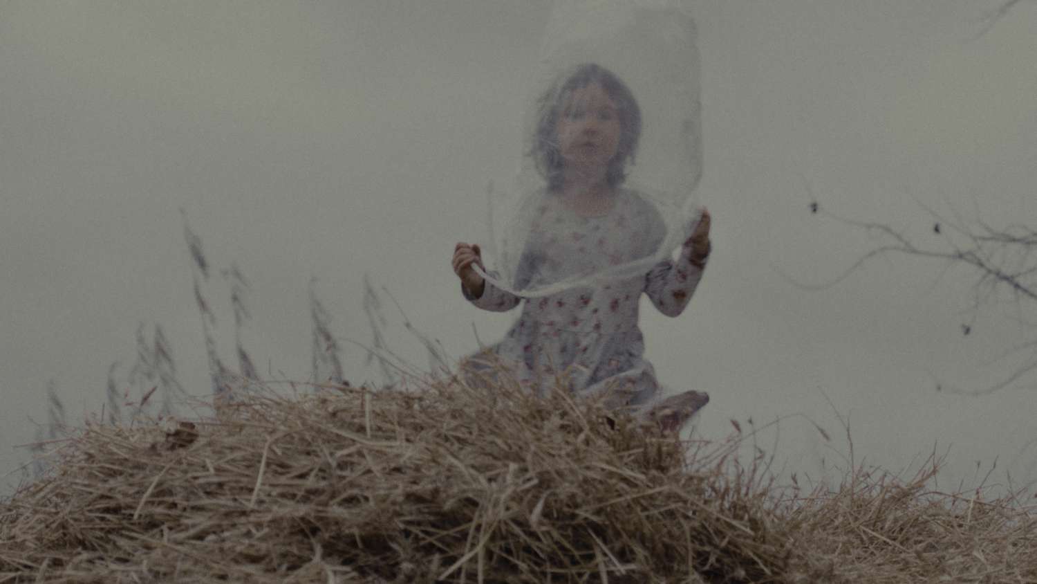 Forest | Cineteca