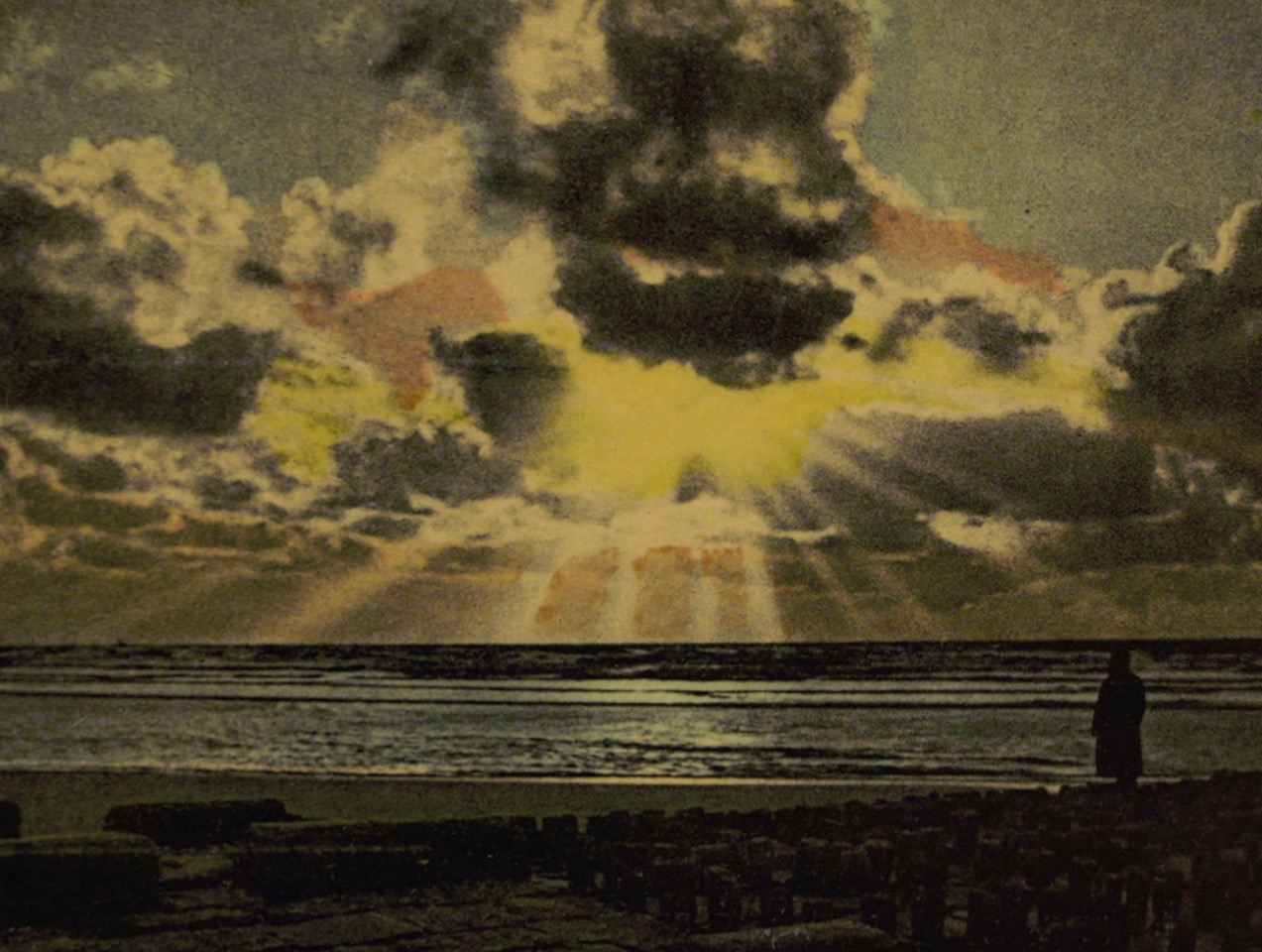 September Diary / Diario de septiembre | Cineteca